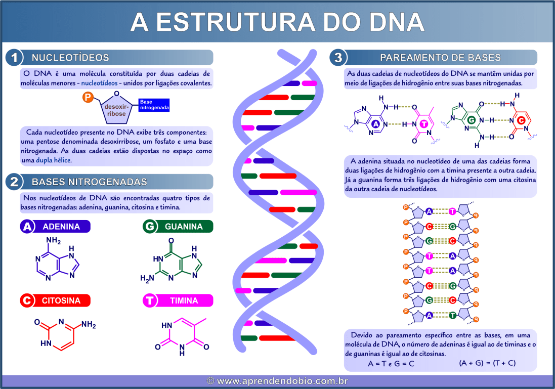 DNA | Aprendendo Biologia